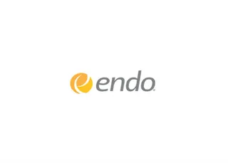 Paul Campanelli named president and CEO of Endo International | The ...